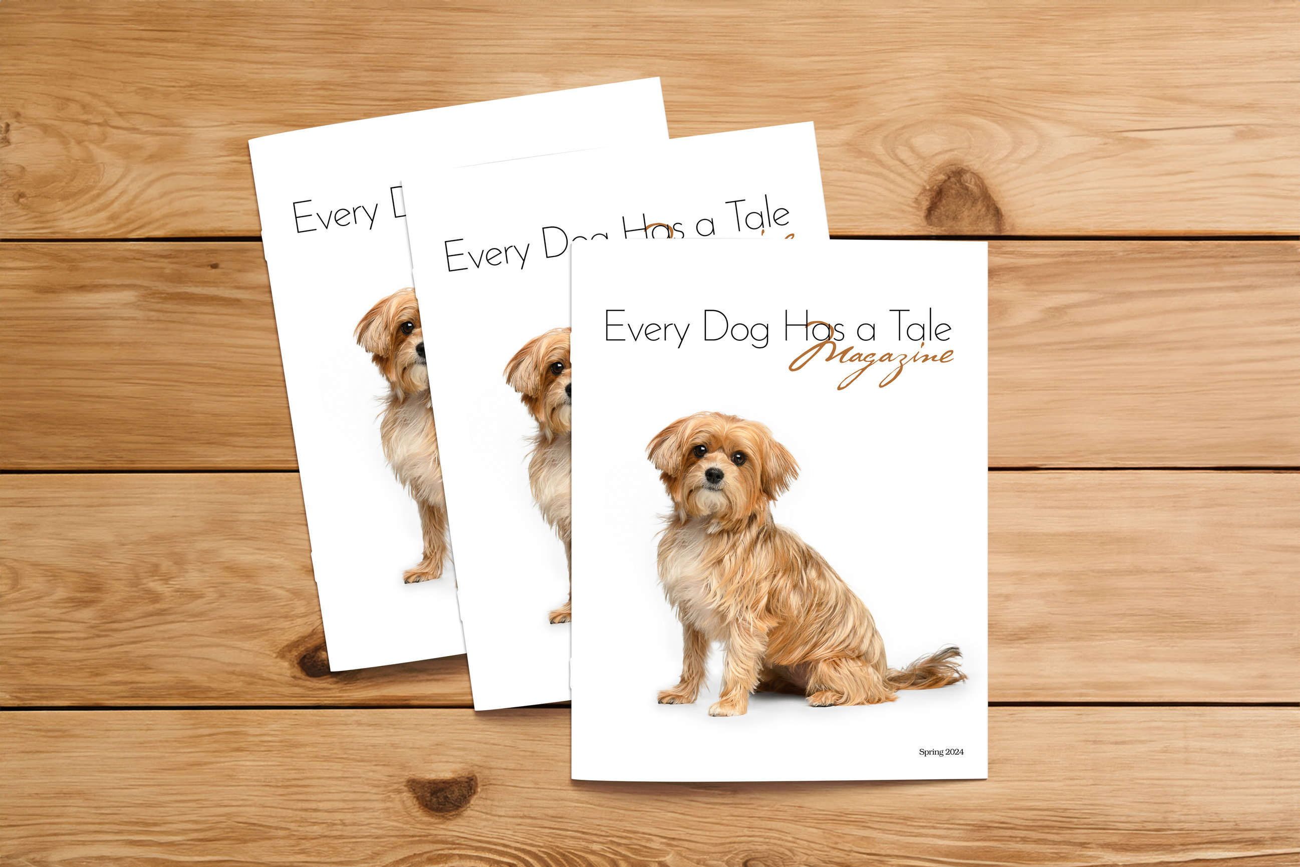 Every Dog Has A Tale Magazine Spring 2024 - Heartwarming Canine Stories