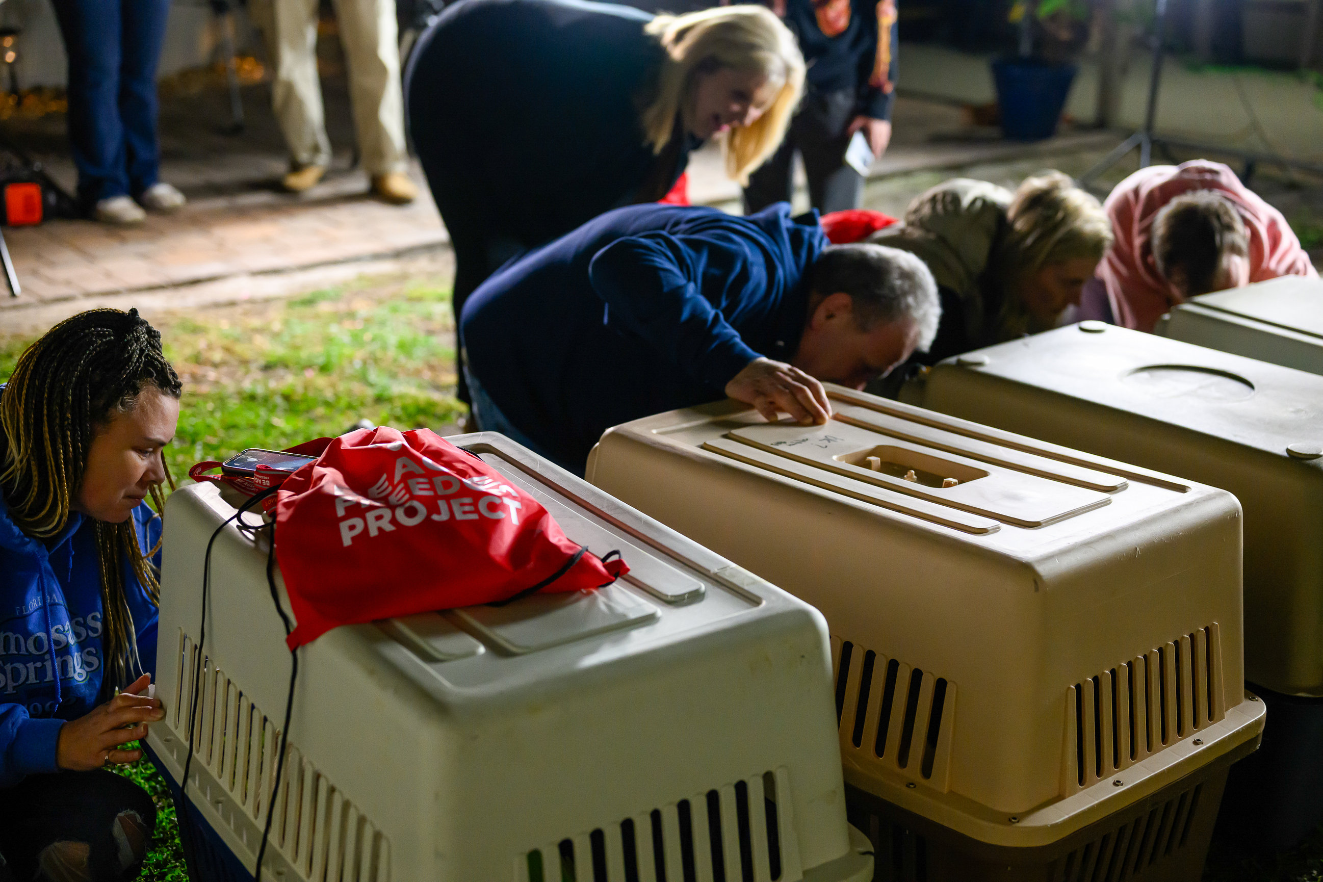 Beagle Freedom Project | Nighttime Photoshoot of Rescued Beagles' First ...