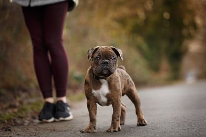 blog - Kim Yanick Portraits