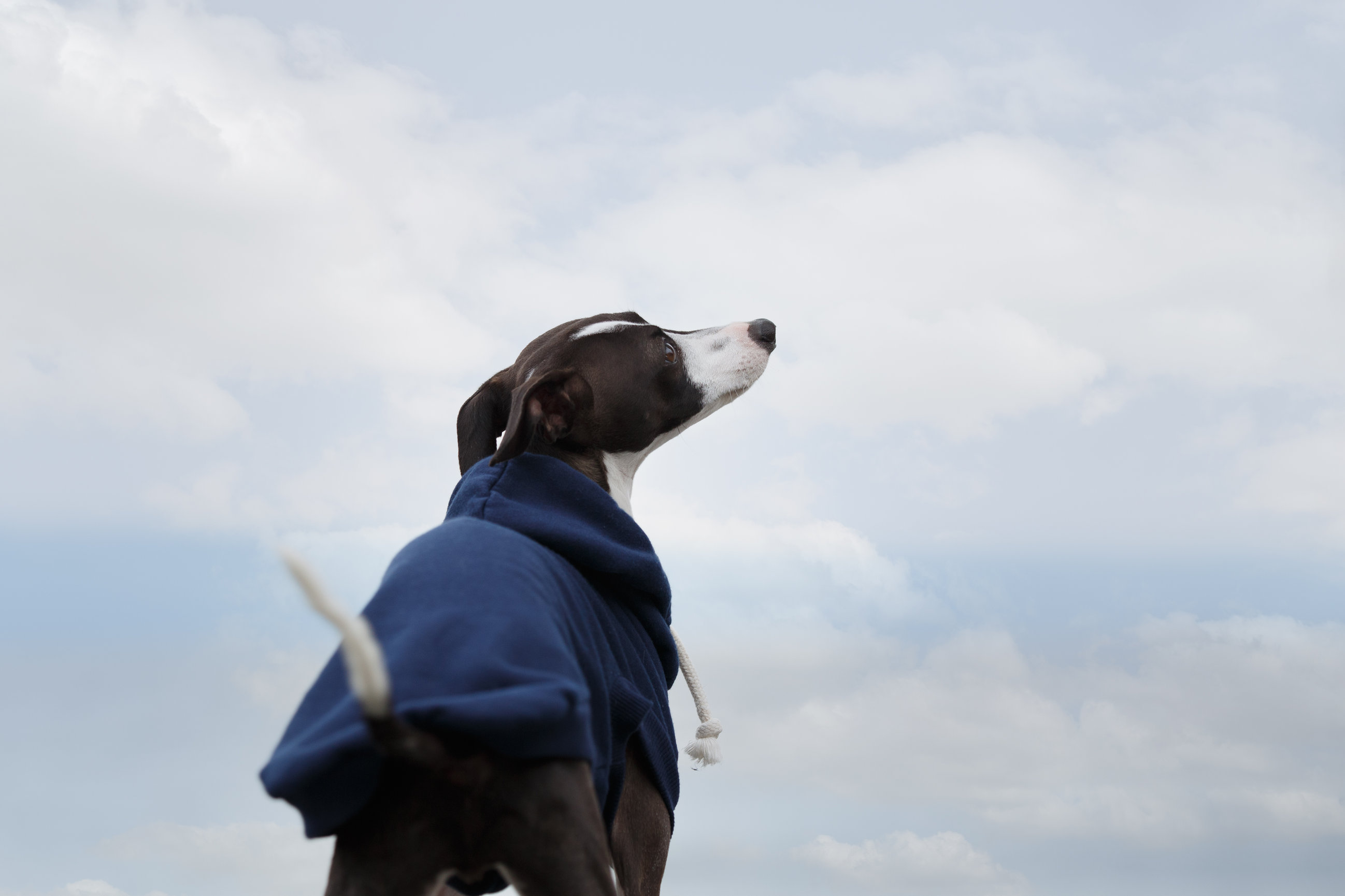 Kim Yanick Portraits