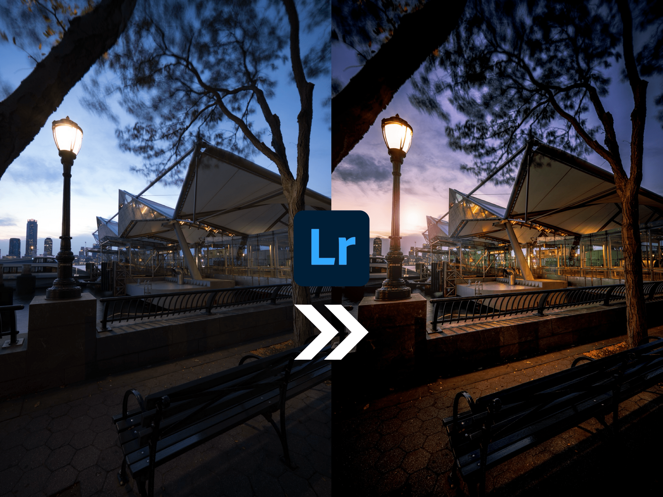 Professor Hines | ZEISS Ambassador, Adobe & Sony Partner