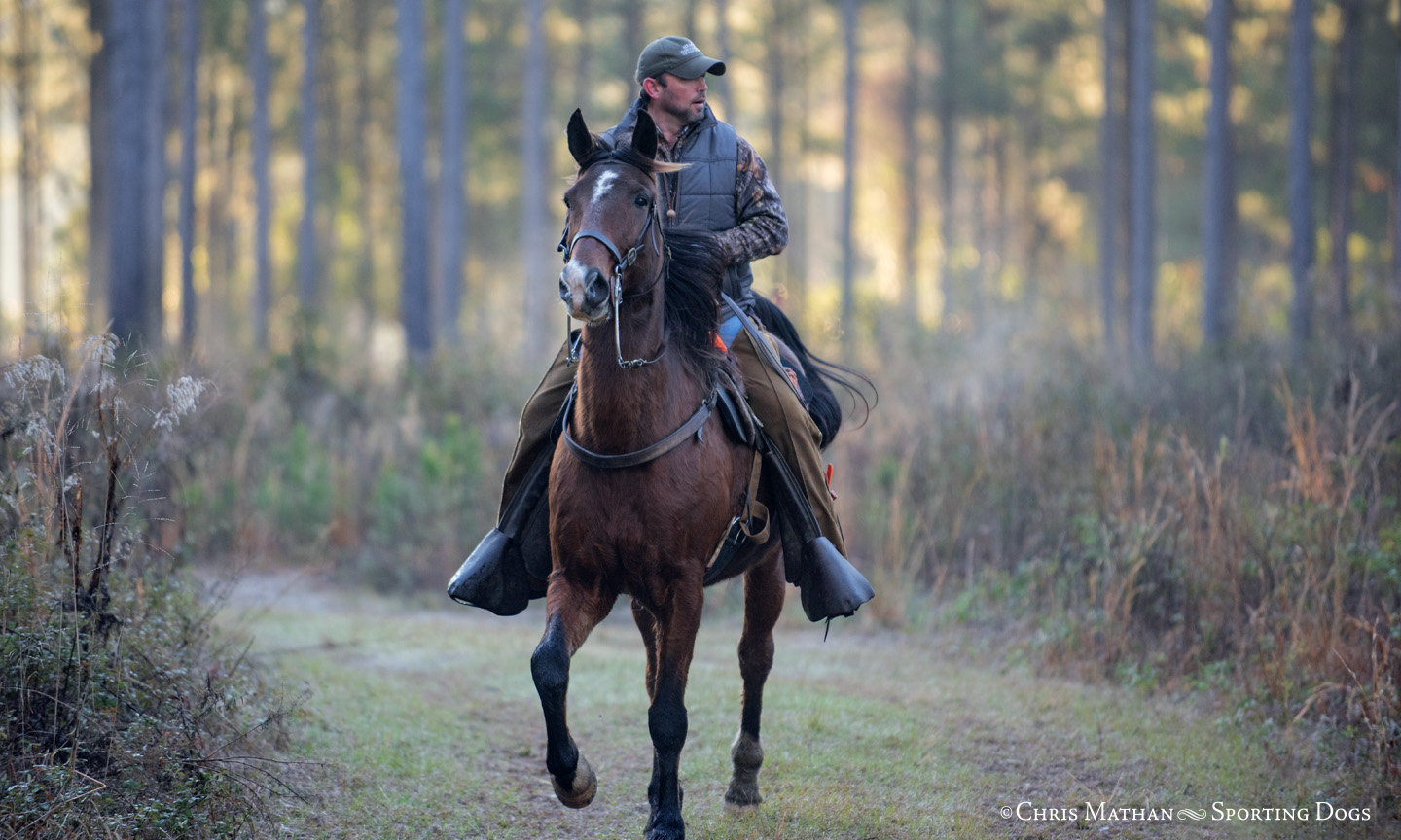 Field Trials - Chris Mathan Sporting Dogs