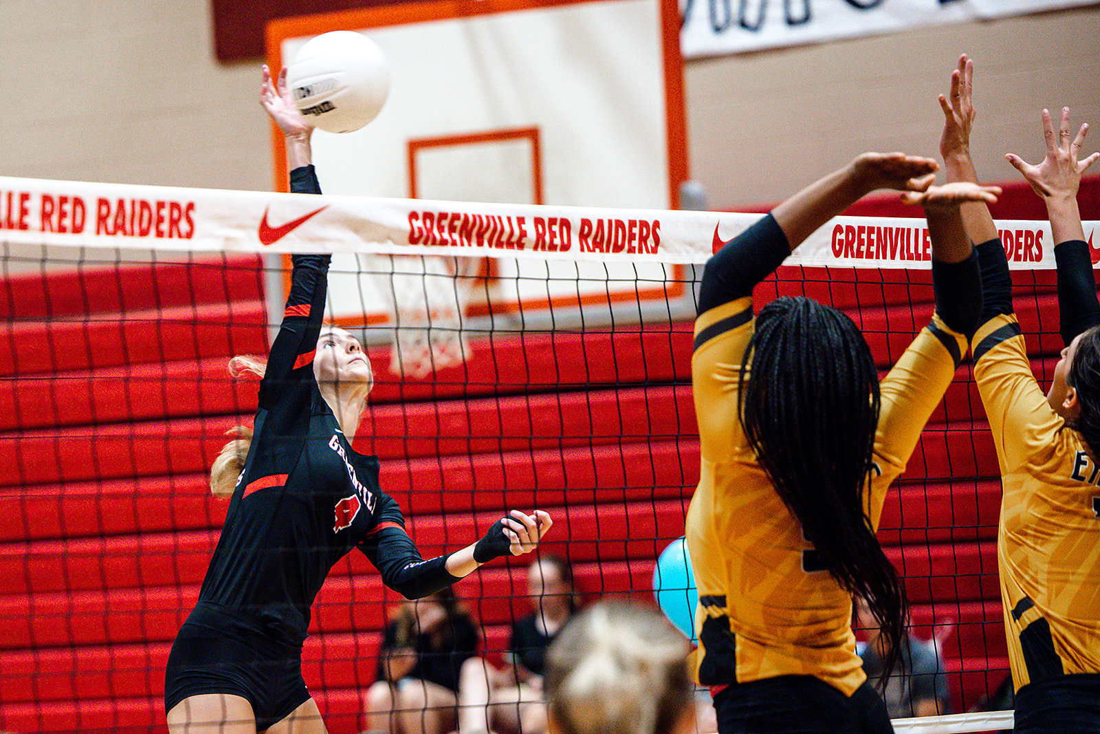 PHOTOS - Pamela Dunlap Photography