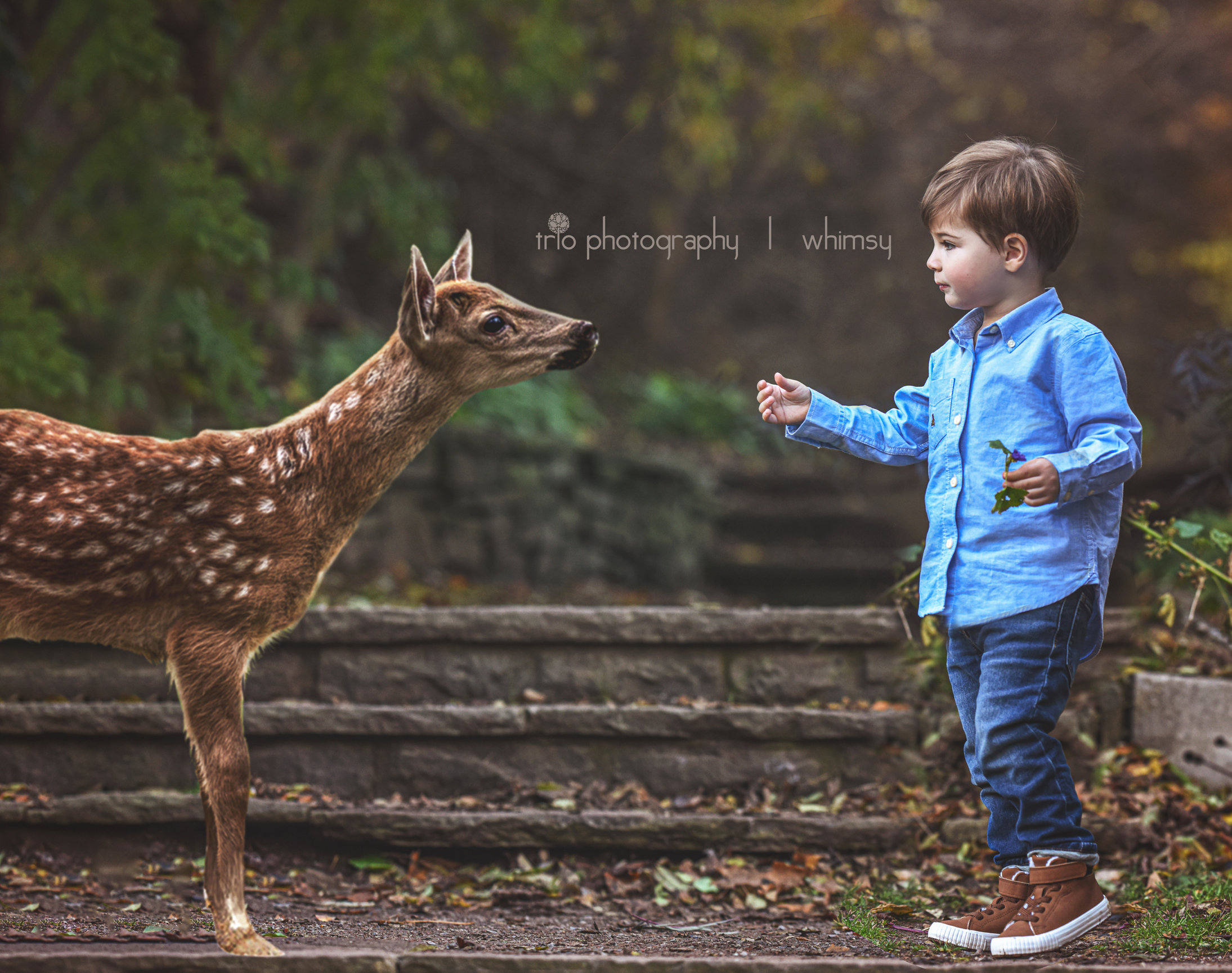 Trio Photography - Markham / Unionville Family Photographer