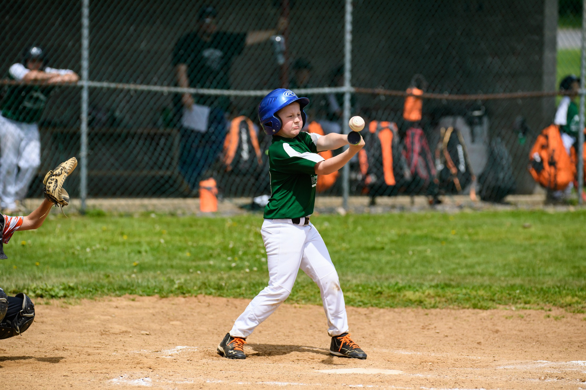 Baseball - Albright Studio Photography