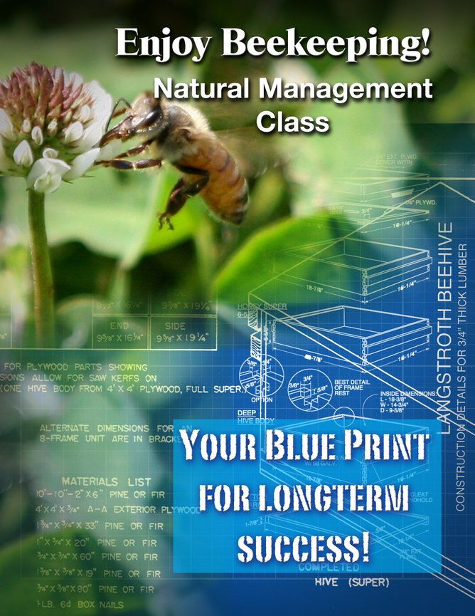 Education - Enjoy Beekeeping