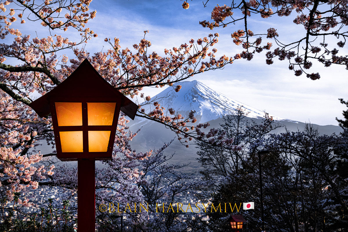 Visiting Mt. Fuji Japan Photography Nature Workshop - When Will Japan ...