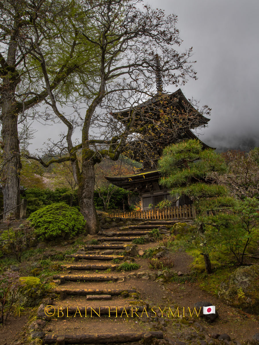 Japan’s Samurai Fortresses - Historic Cherry Blossom Photography Tour ...