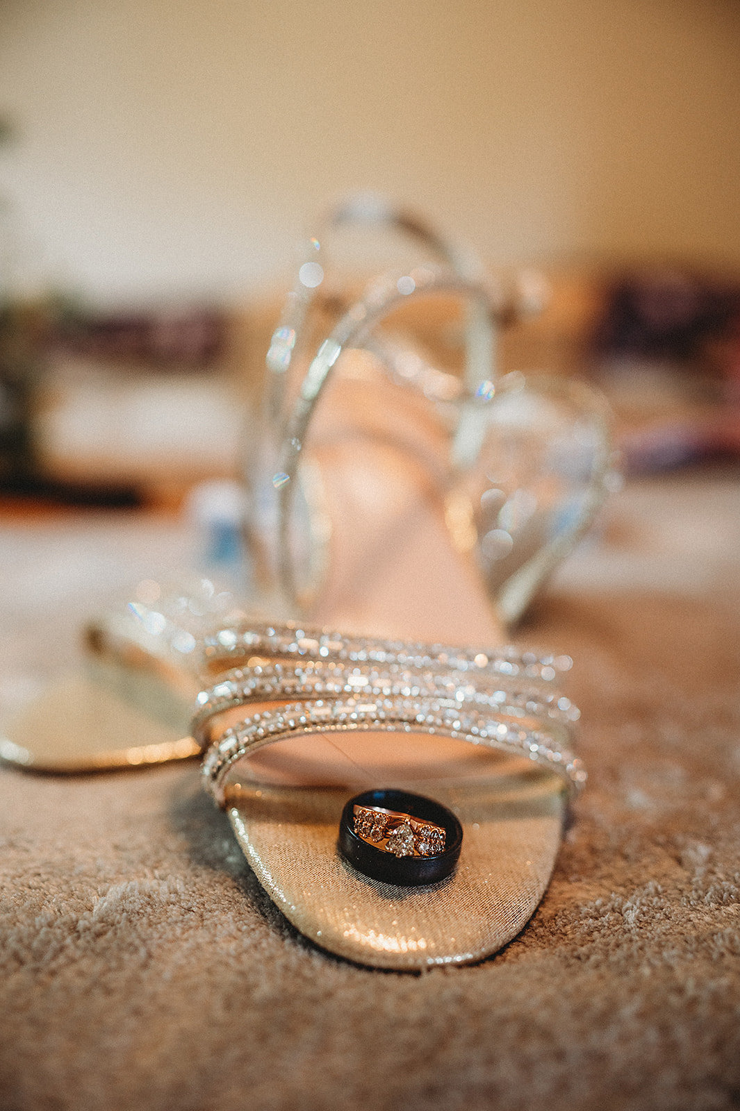 Tiffany Rude Photography-Wedding-Elopement-Lifestyle Portraits