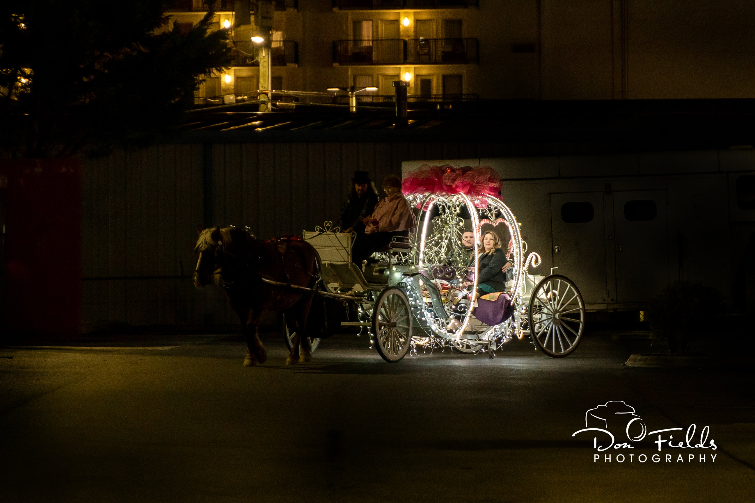 Carriage Proposal - Don Fields Photography