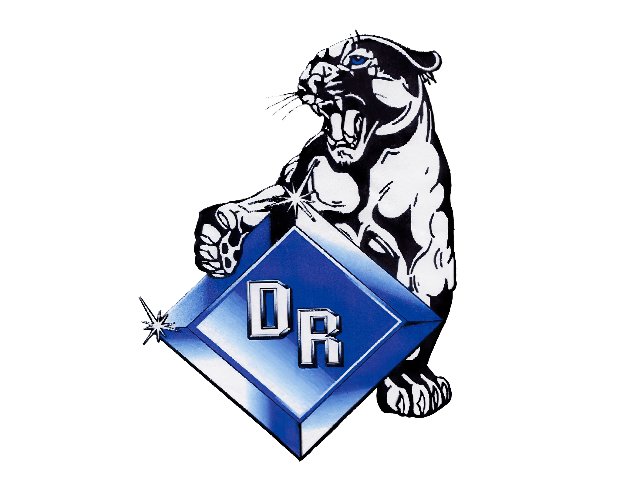 Sports Selector - PSS Imaging