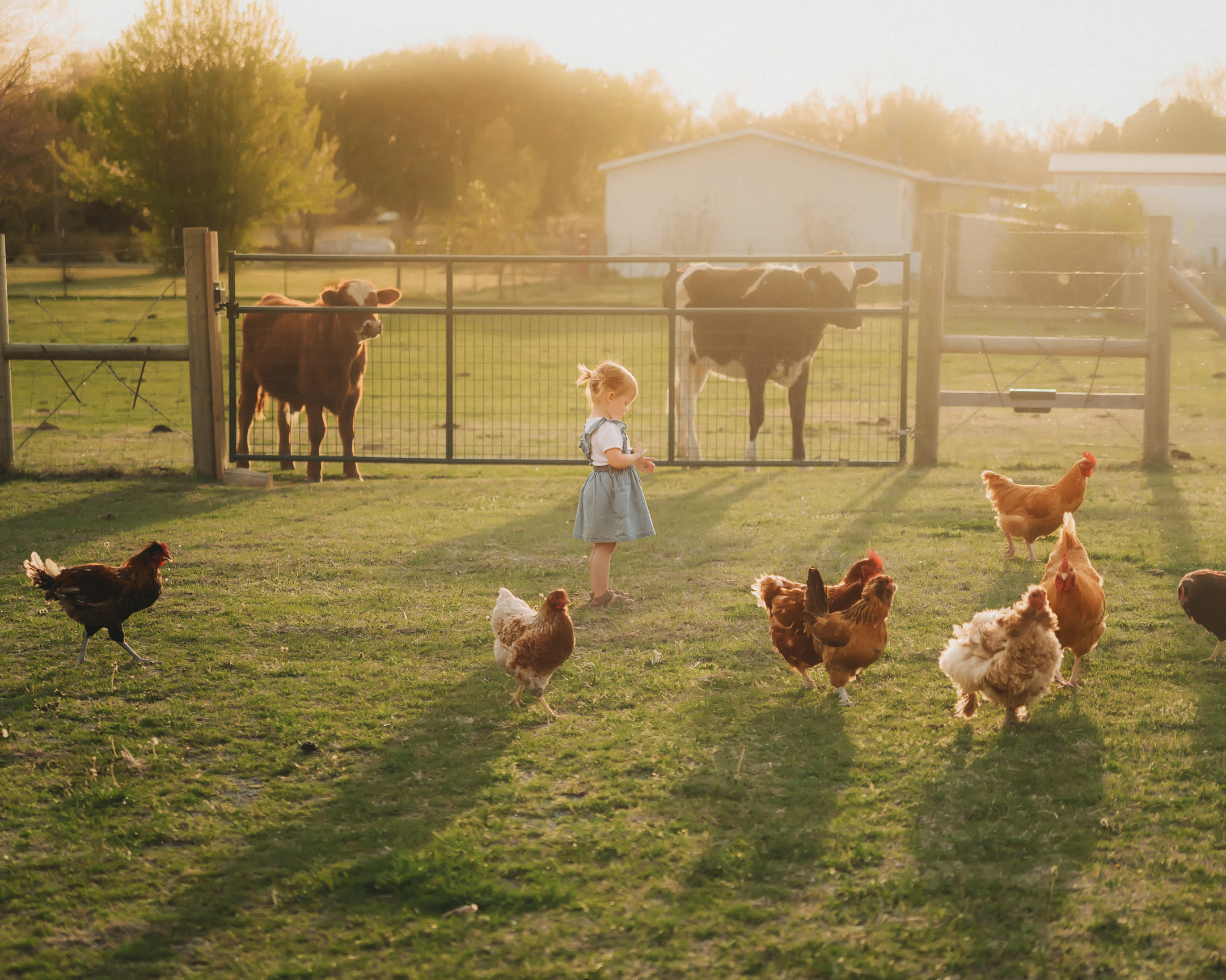 Audrey Bolt: Cake Smashes, Family Fun, and Reaching Clients With ...