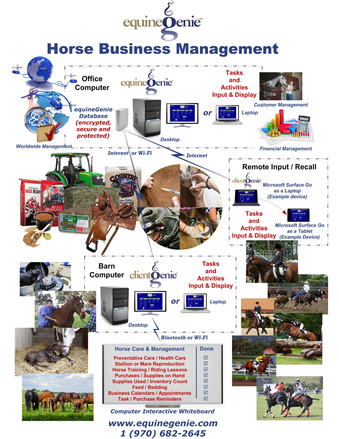 equineGenie - Equine Genie - Horse Business Management Software