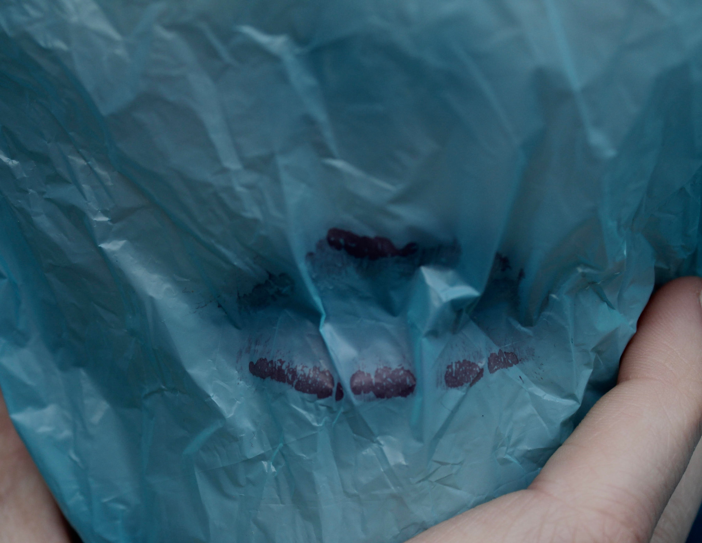 Home | Hanna Gelwix Art