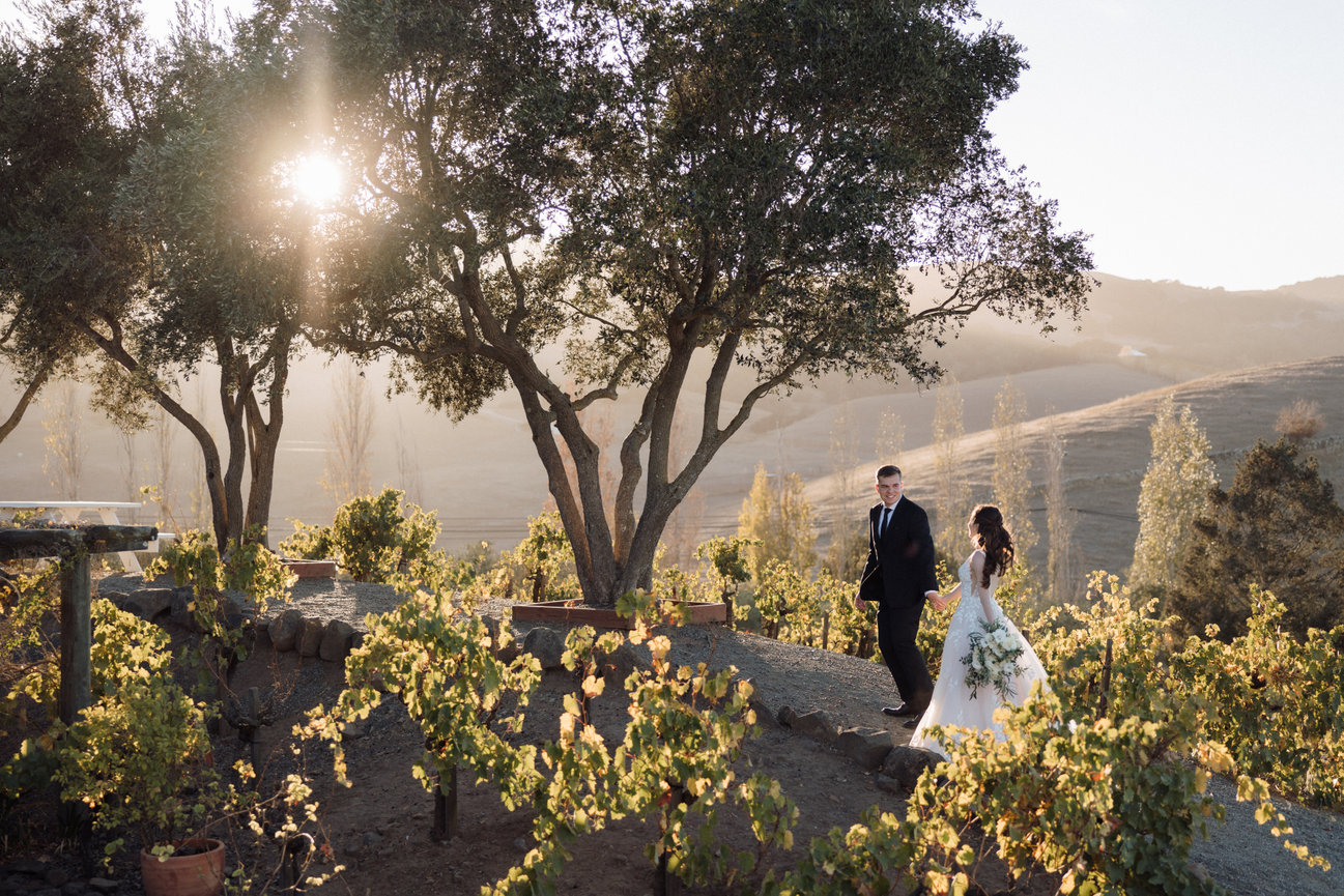 Santa Cruz Wedding Photographer | Ben Ingram Visuals