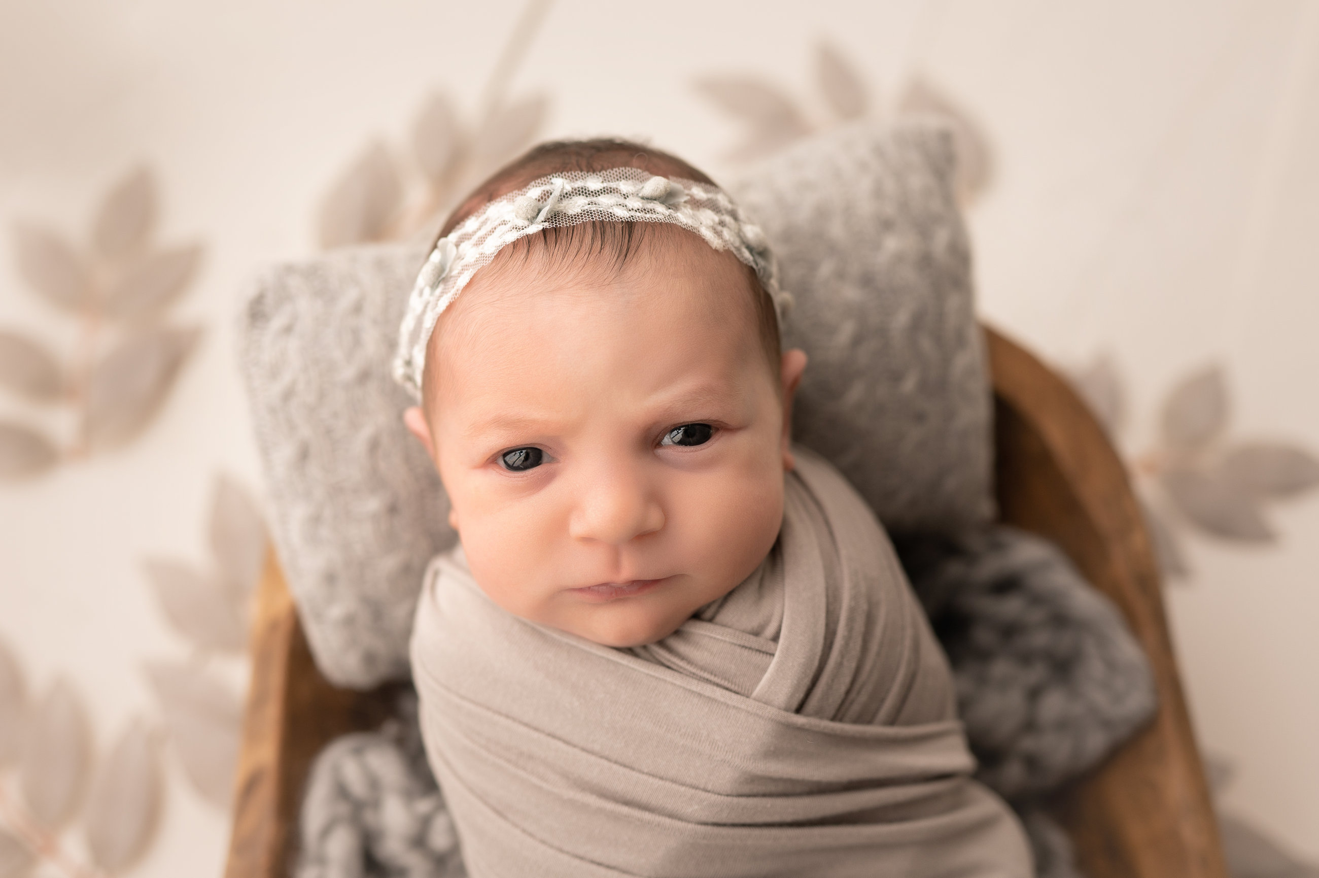 Daniela Rae, 14 days new