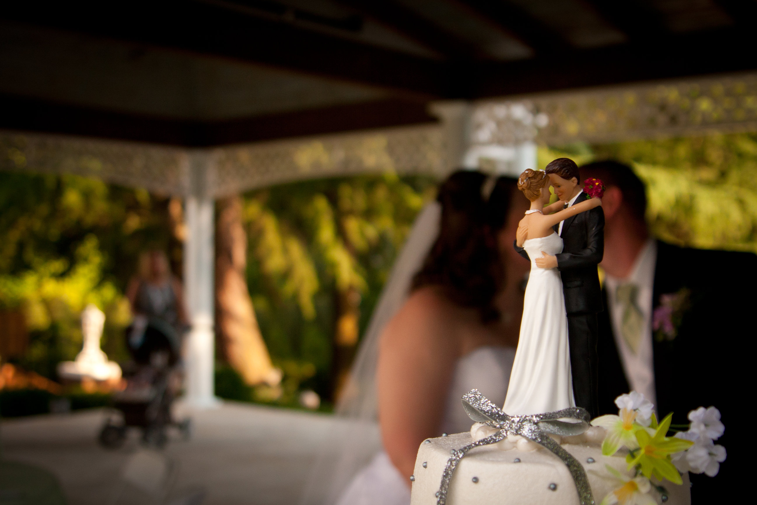 Weddings - Memory Lane Photography