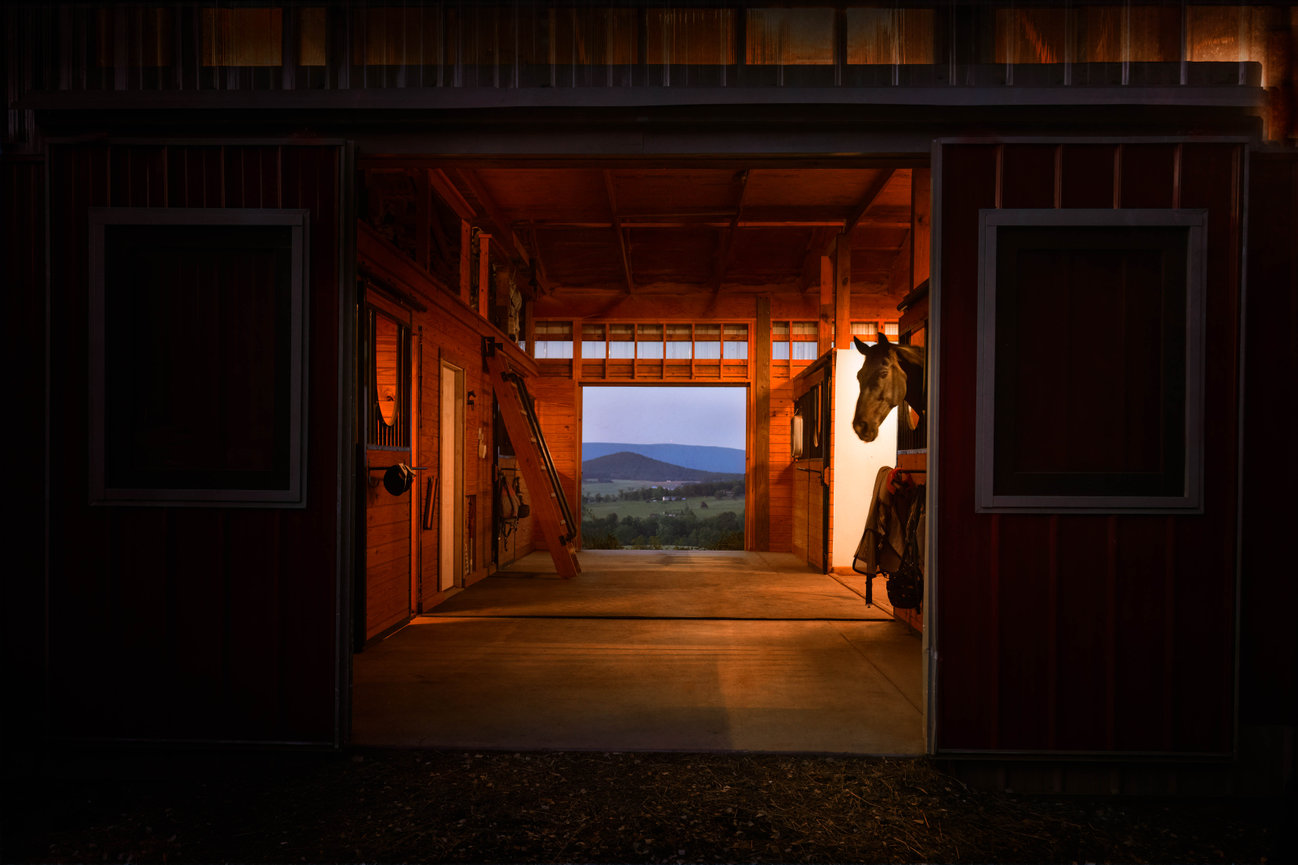 Dressage Diaries - Caitlin Garvey Photos