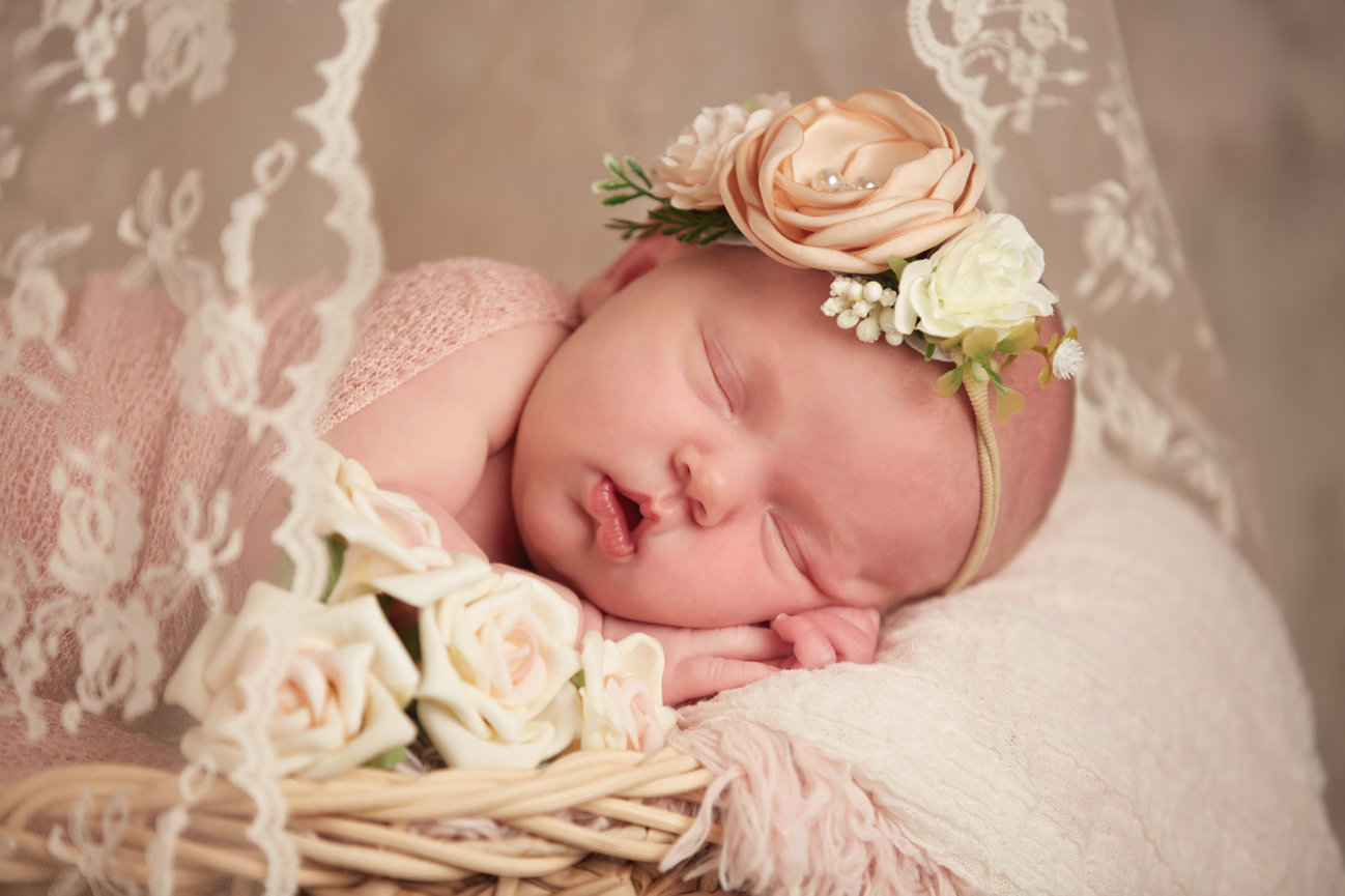 PETERS PHOTOGRAHY HOME - Peters Photography