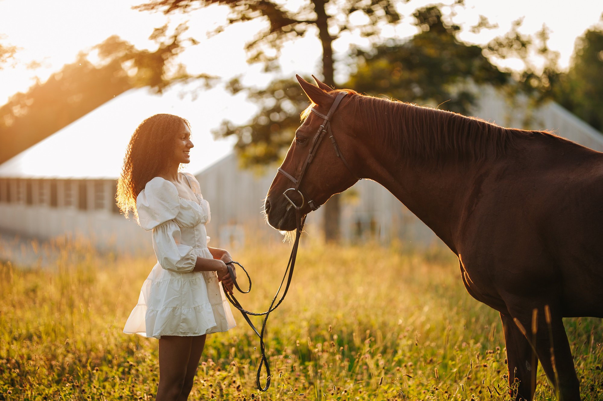 Lucia's Senior Photos at Dog Day Farm Pownal