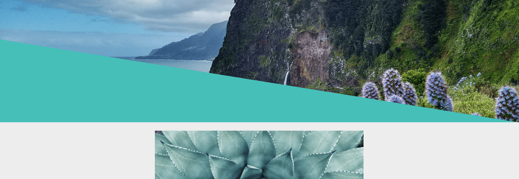 How To Use Slant And Point Dividers - PhotoBiz Knowledge Base