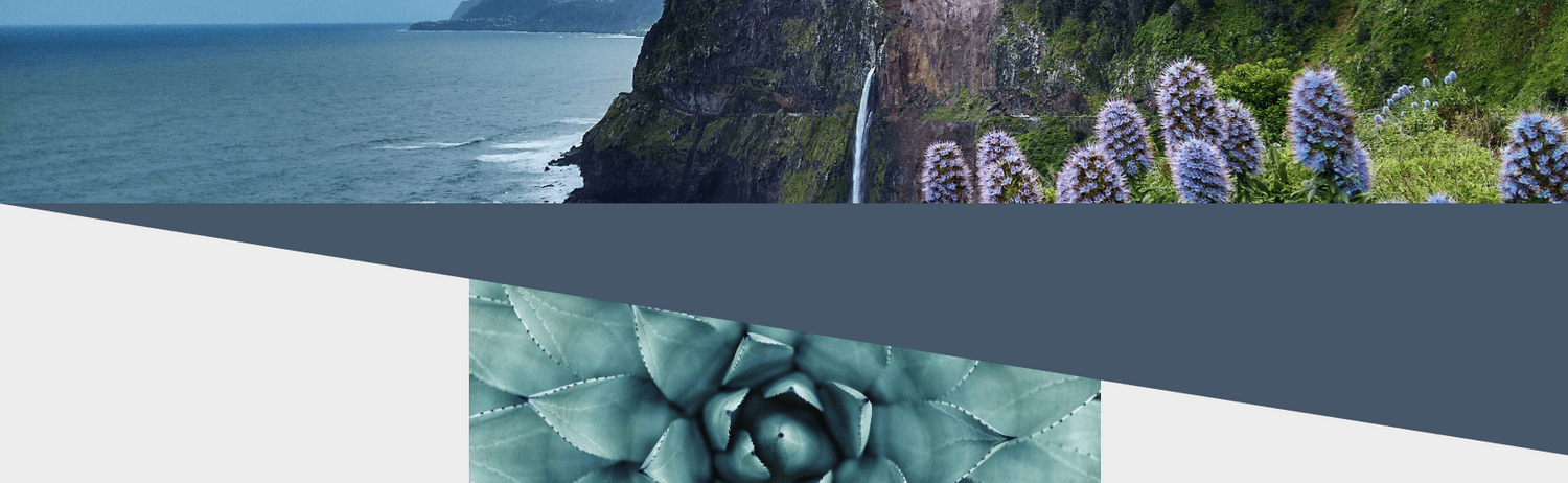 How To Use Slant And Point Dividers - PhotoBiz Knowledge Base