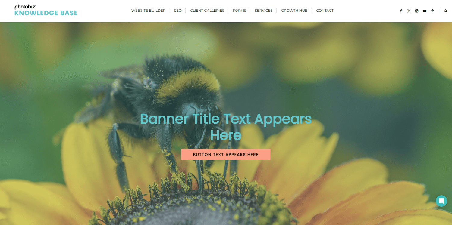 How To Add Text To Banners - PhotoBiz Knowledge Base