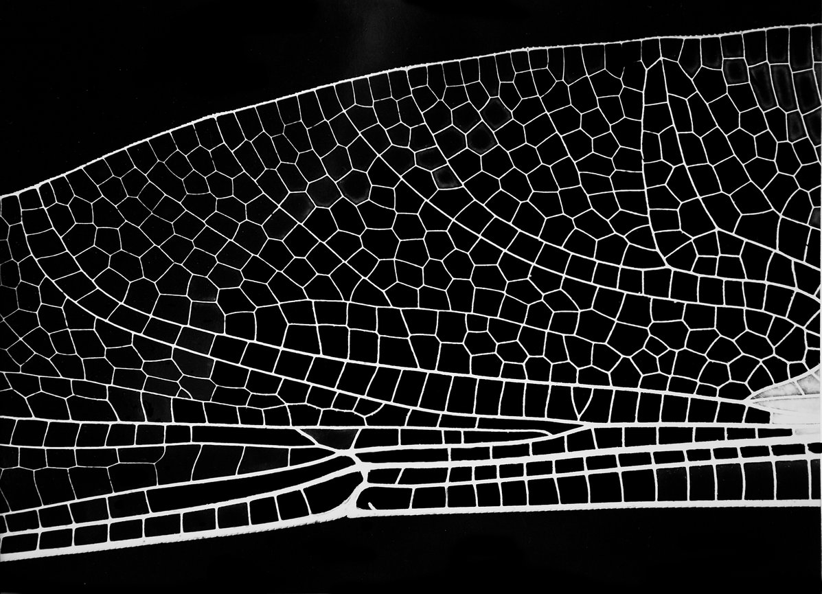 Jim's Blog | Jim Zuckerman Photography & Photo Tours