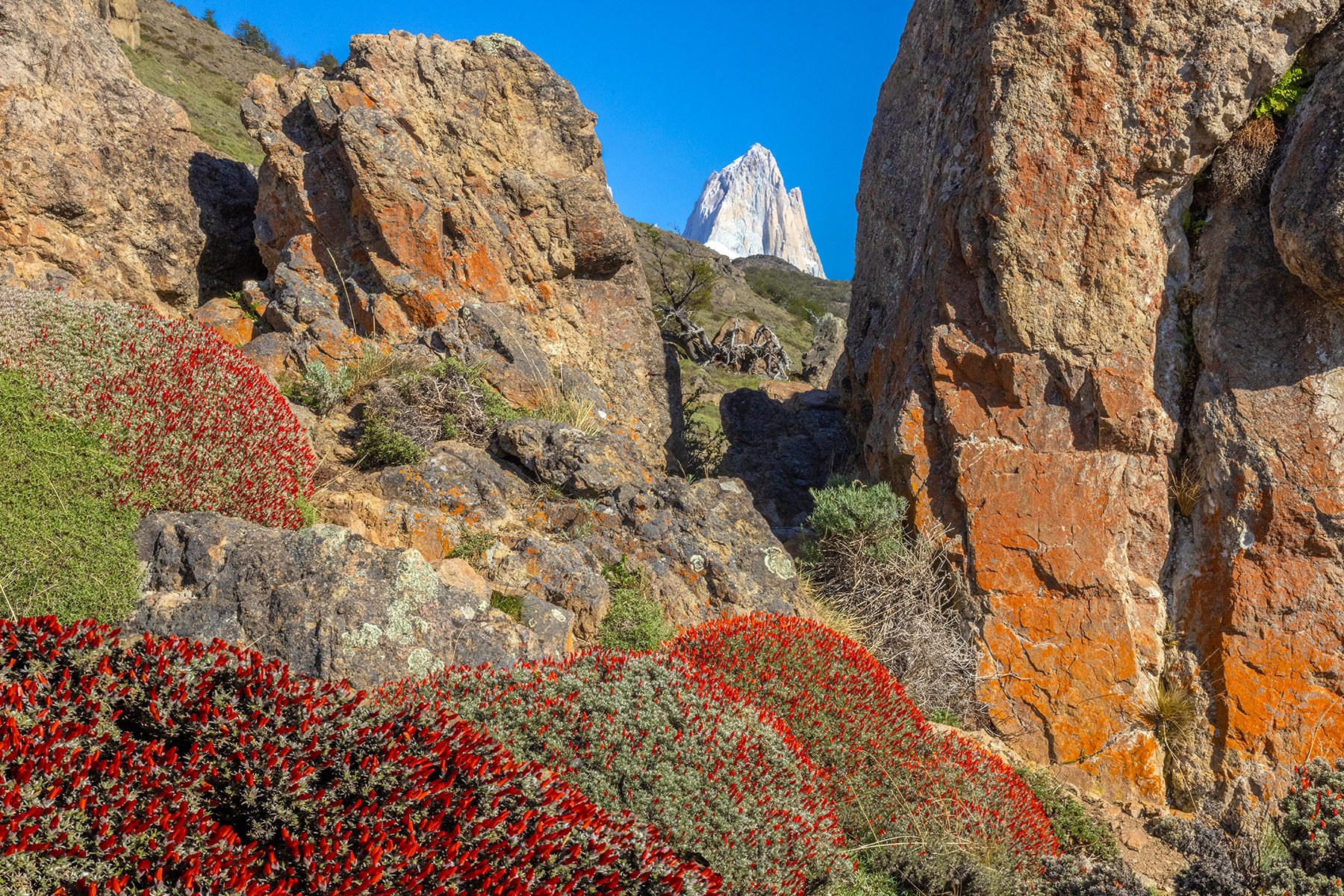 Mid-day lighting - Jim Zuckerman photography & photo tours