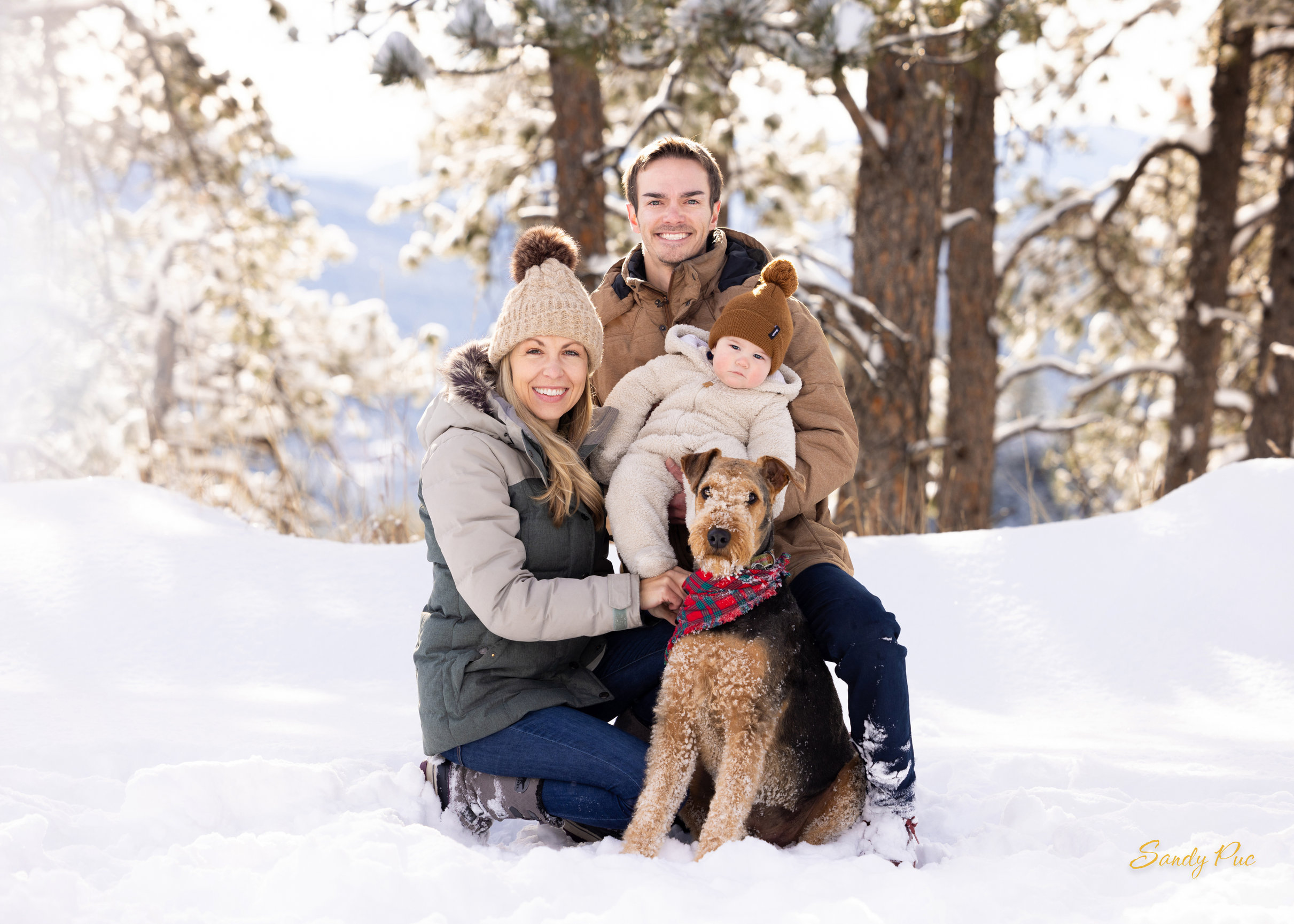 Snow Portrait Special {Colorado Family Photographer} - Sandy Puc ...