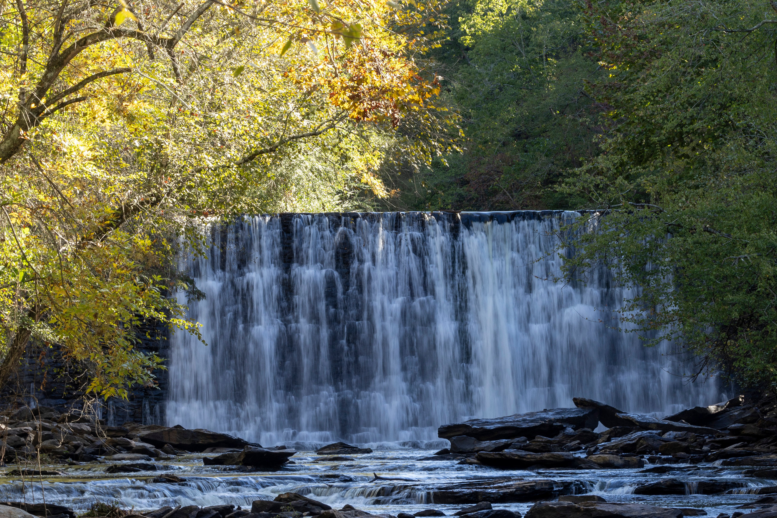 Explore Nature Photography in Roswell, GA with Mary Buck