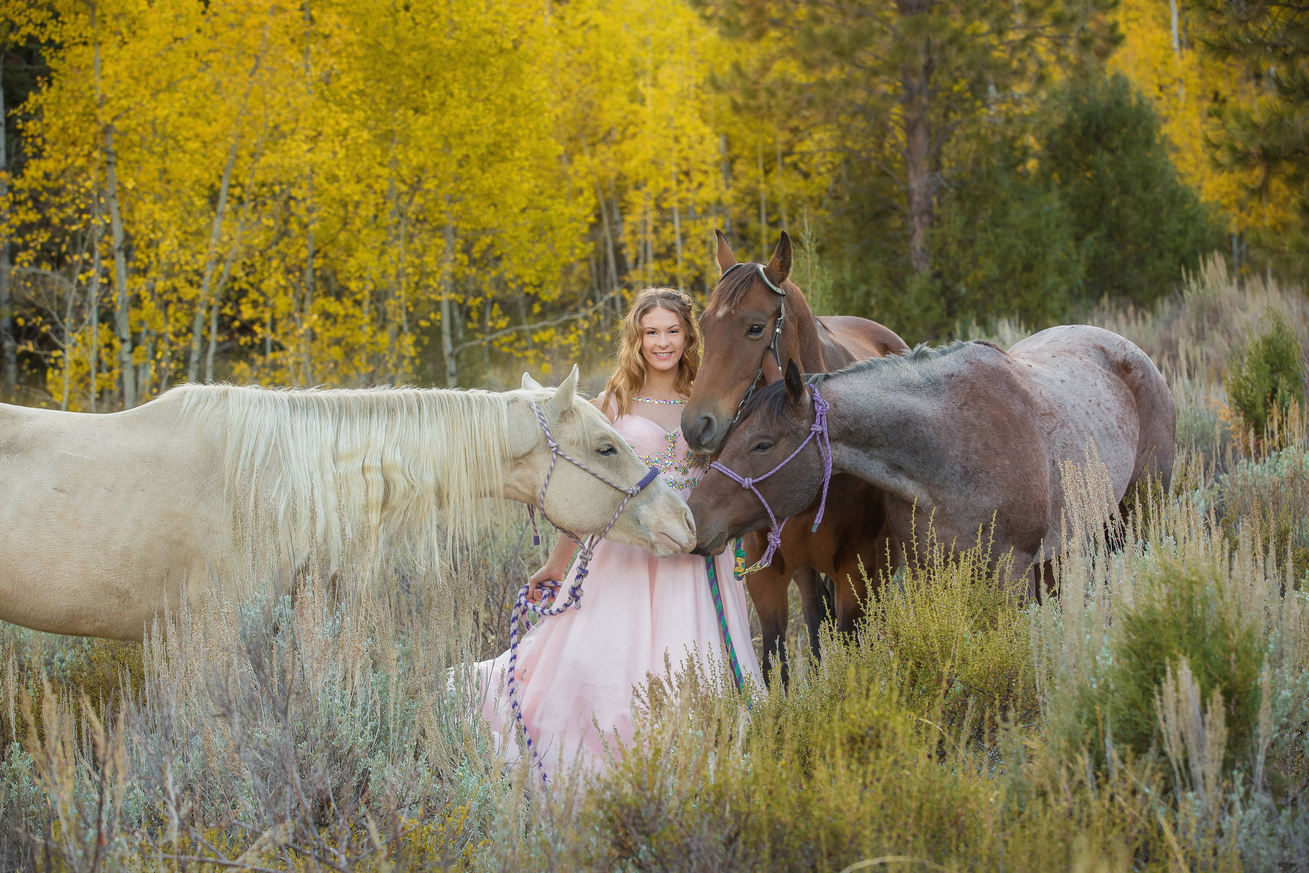 GALLERY - Kerry Horrocks Photography