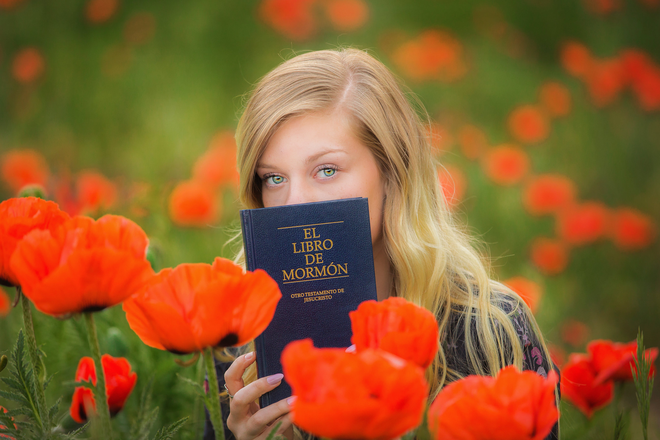 GALLERY - Kerry Horrocks Photography