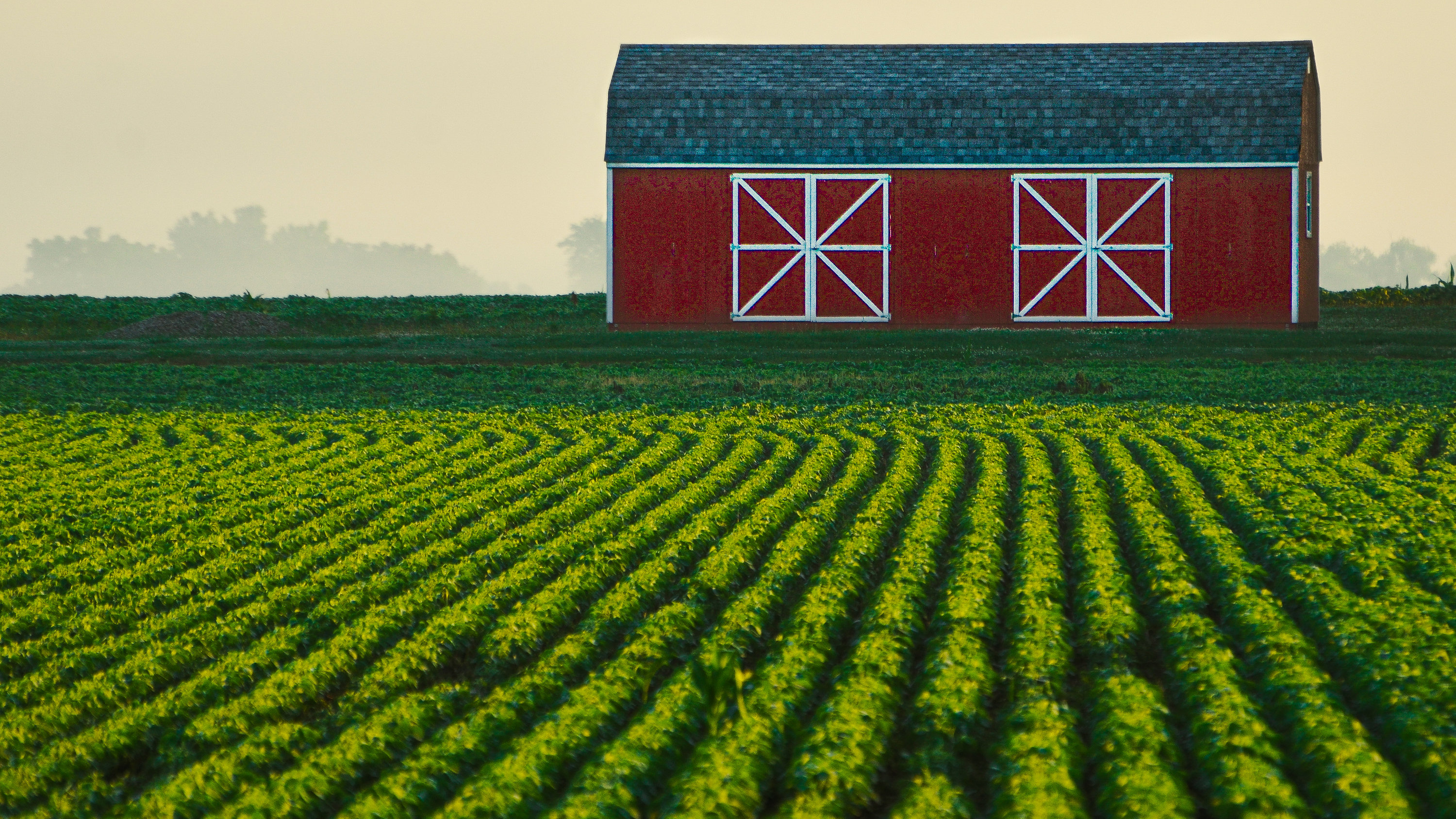 home - Tom Atwood Media