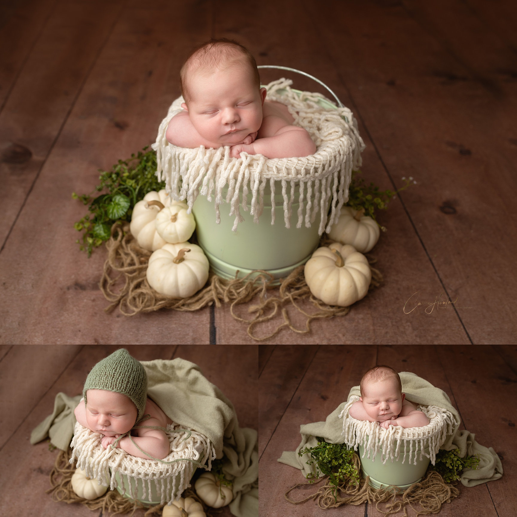 Gerber Baby / Charlotte Newborn Photographer