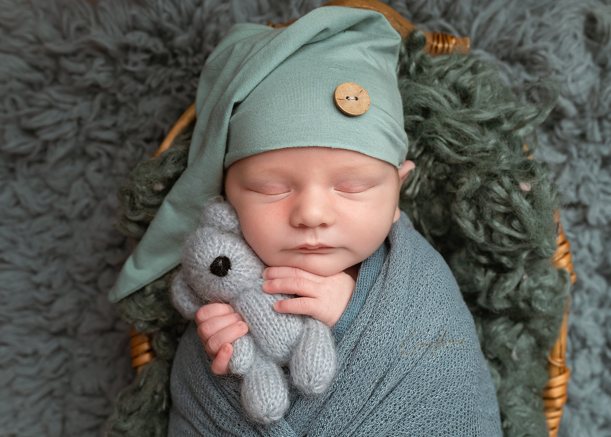 Gerber Baby / Charlotte Newborn Photographer