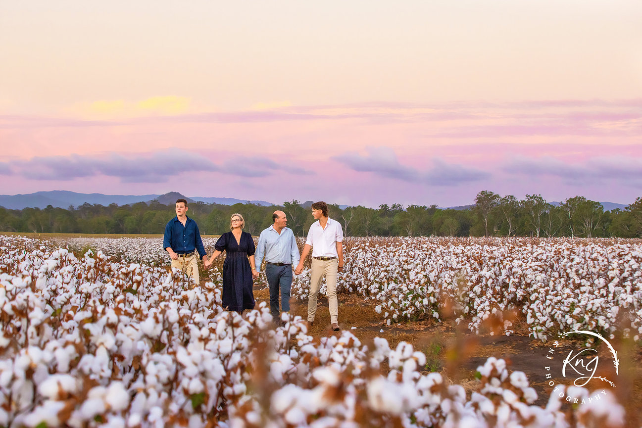 Seasonal Cotton Fields - K n J Photography