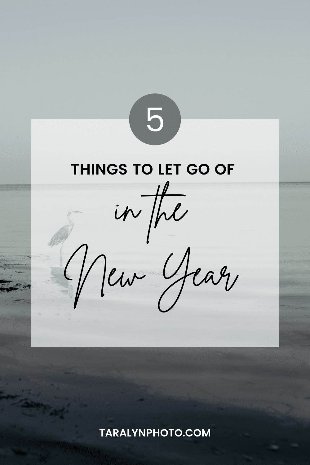 5 Things to Let Go for 2022 - TaraLyn Photography
