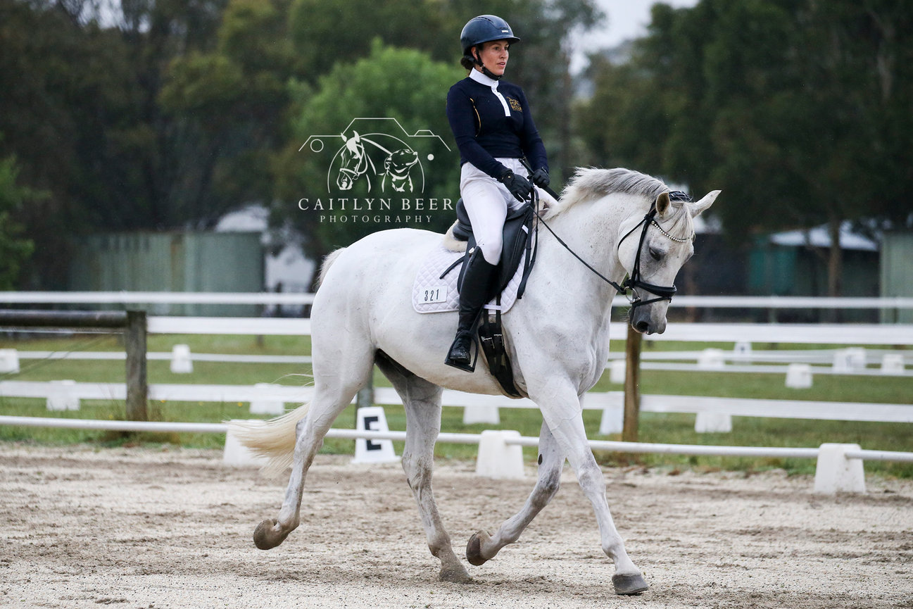 EQUINE EVENTS - Caitlyn Beer Photography