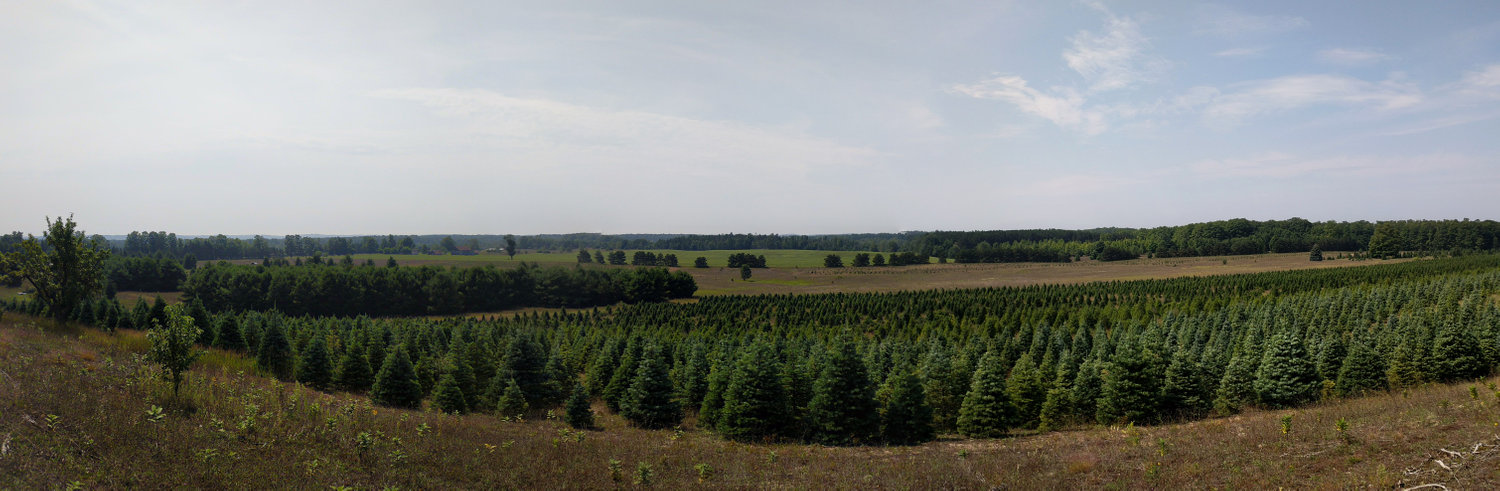 Home - Five and a Half North Farm