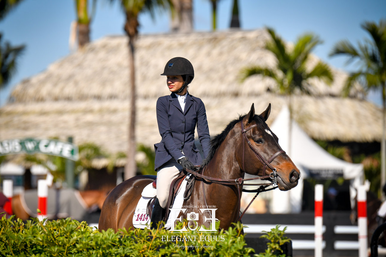 -WEF 2023 - Lindsay A Brown