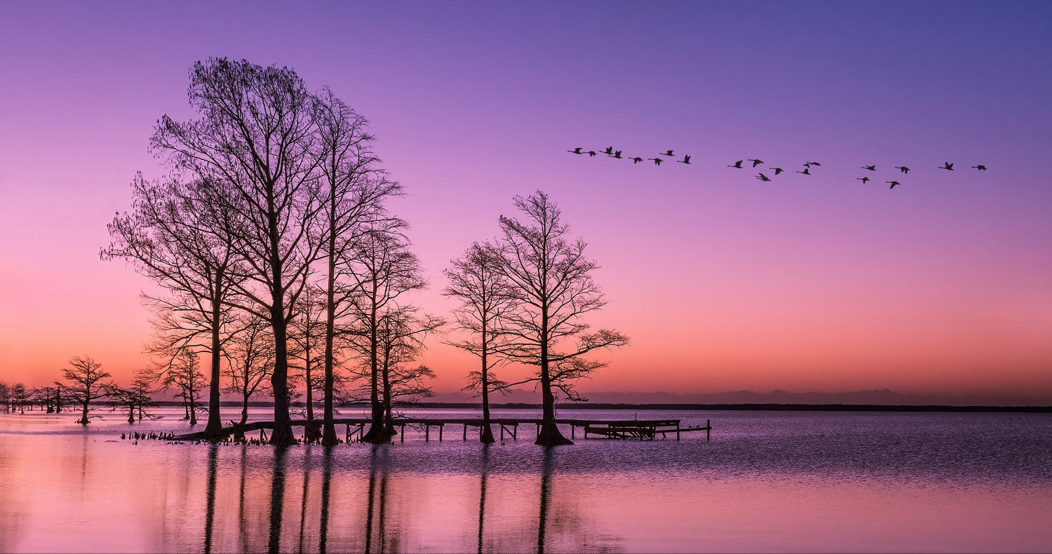 Landscape Prints | Morehead City, NC | The Wild Doody