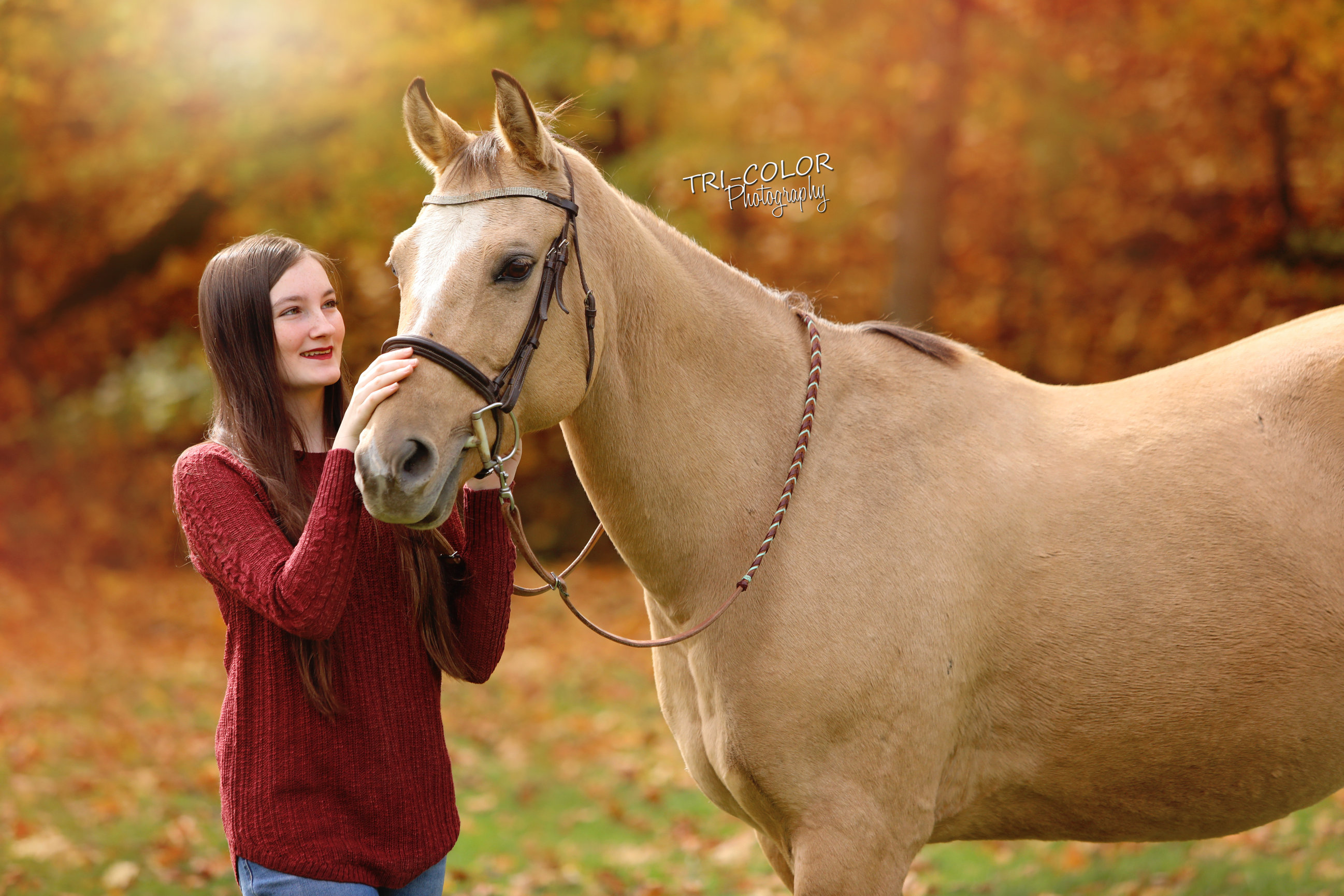 EQUINE - Tri Color Photography