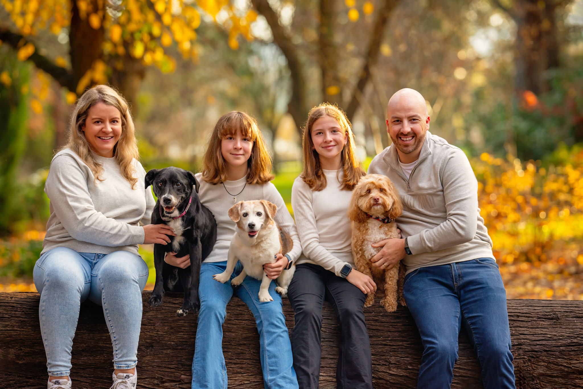 5 tips on what to wear to a pet photography session