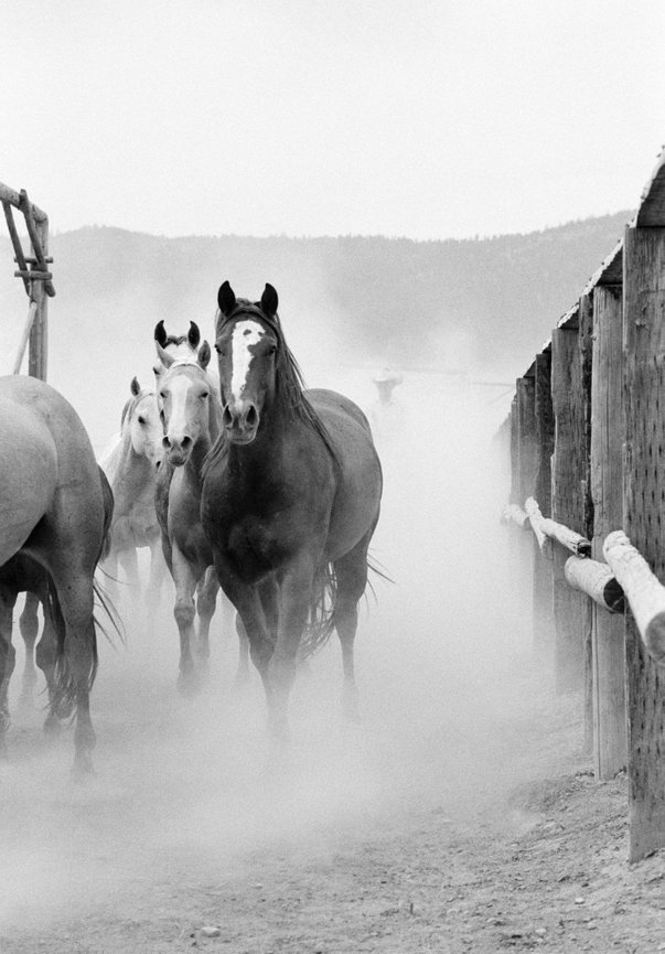 GALLERIES - Barbara P Van Cleve