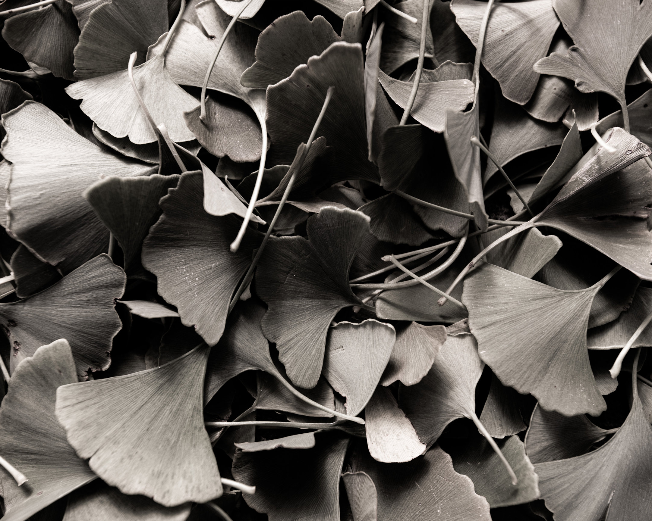 Iowa landscapes & places in Iowa Fine art digital photography