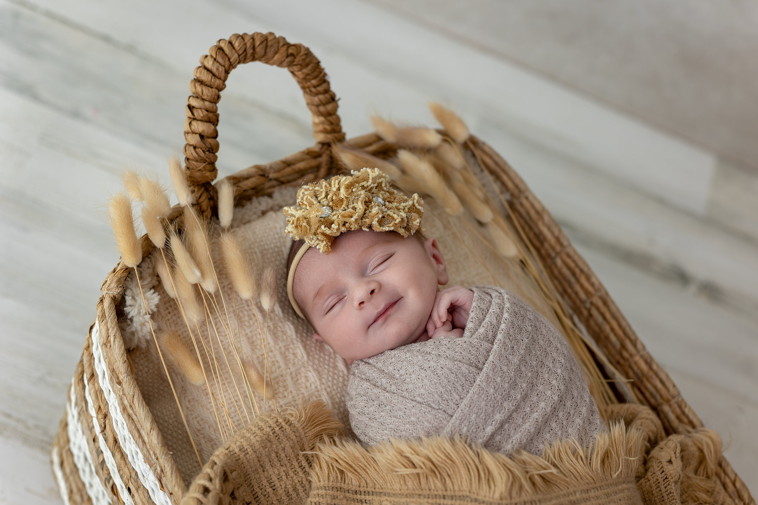 Newborn photography in Cary, NC - Light Breeze Photography