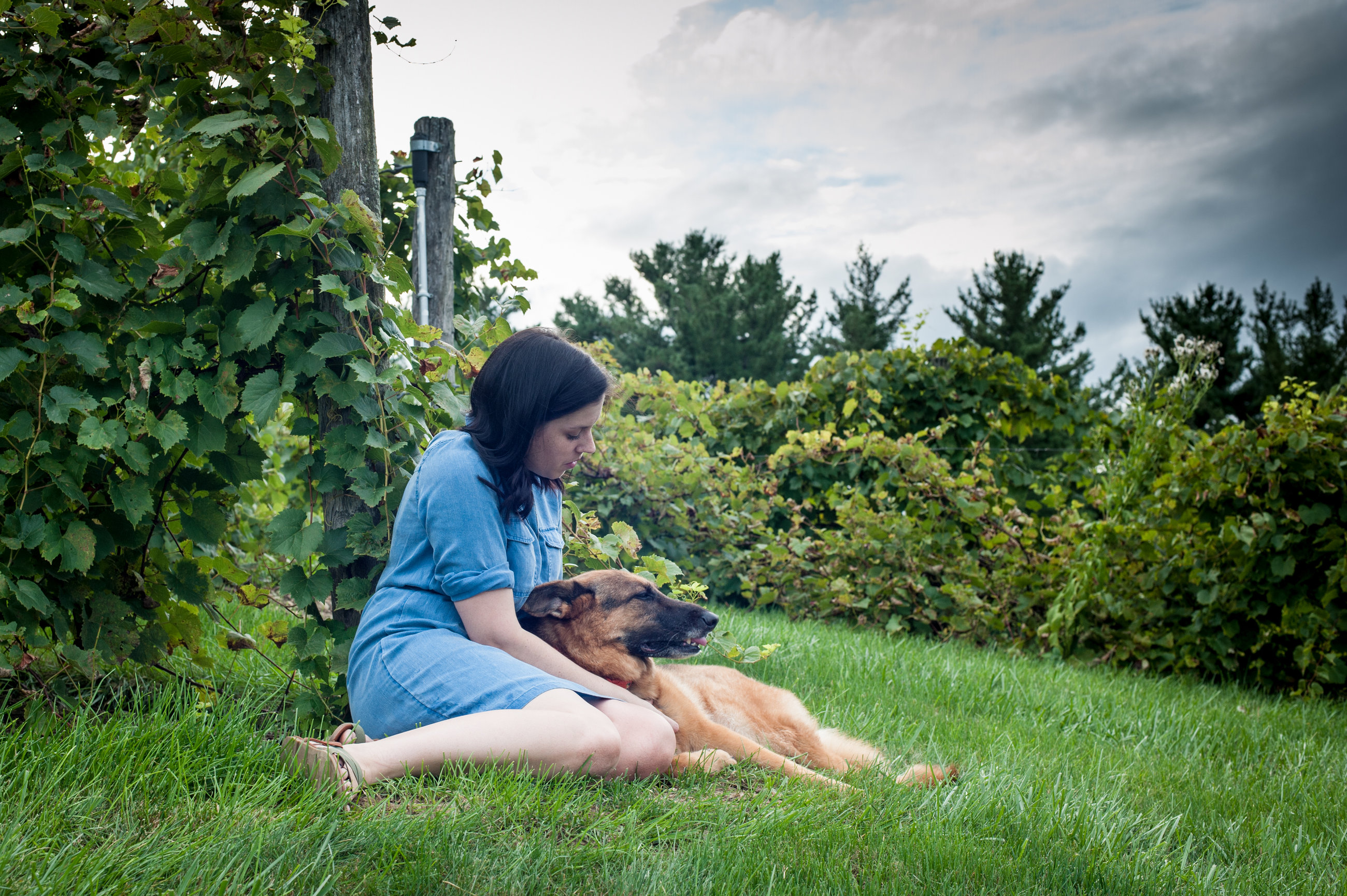 Dublin Dog Photography Session