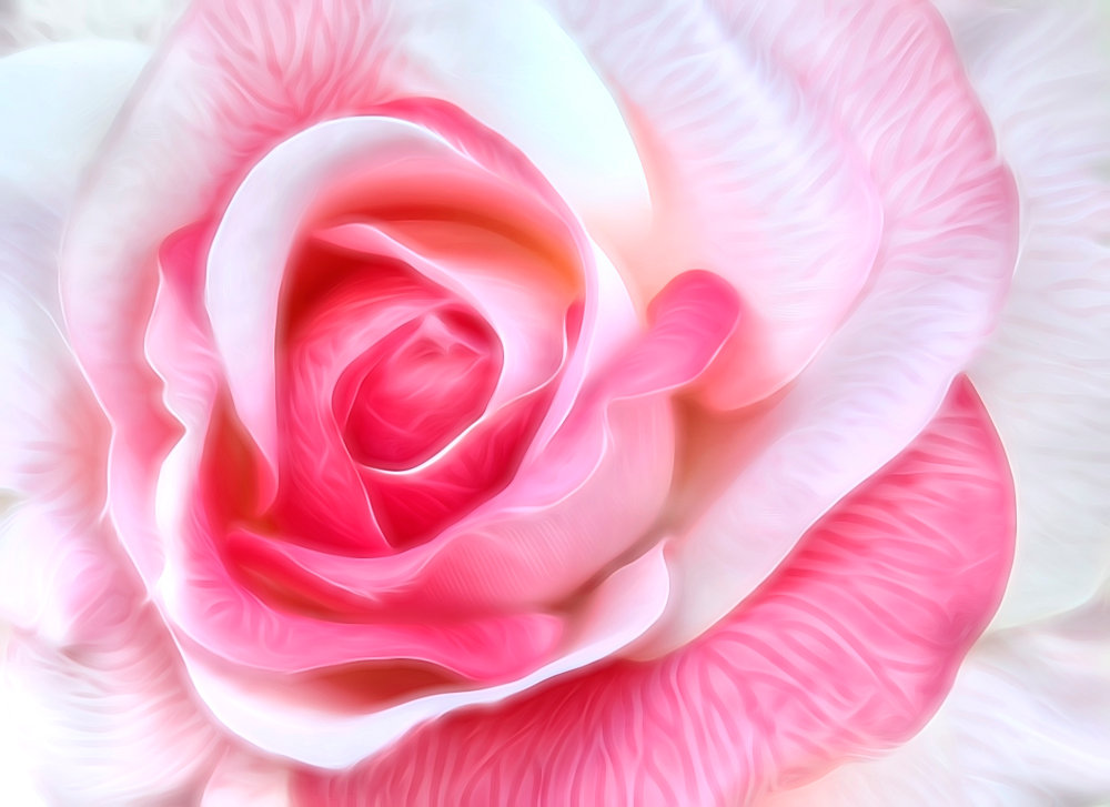 Mike Moats Macro Photography Blog