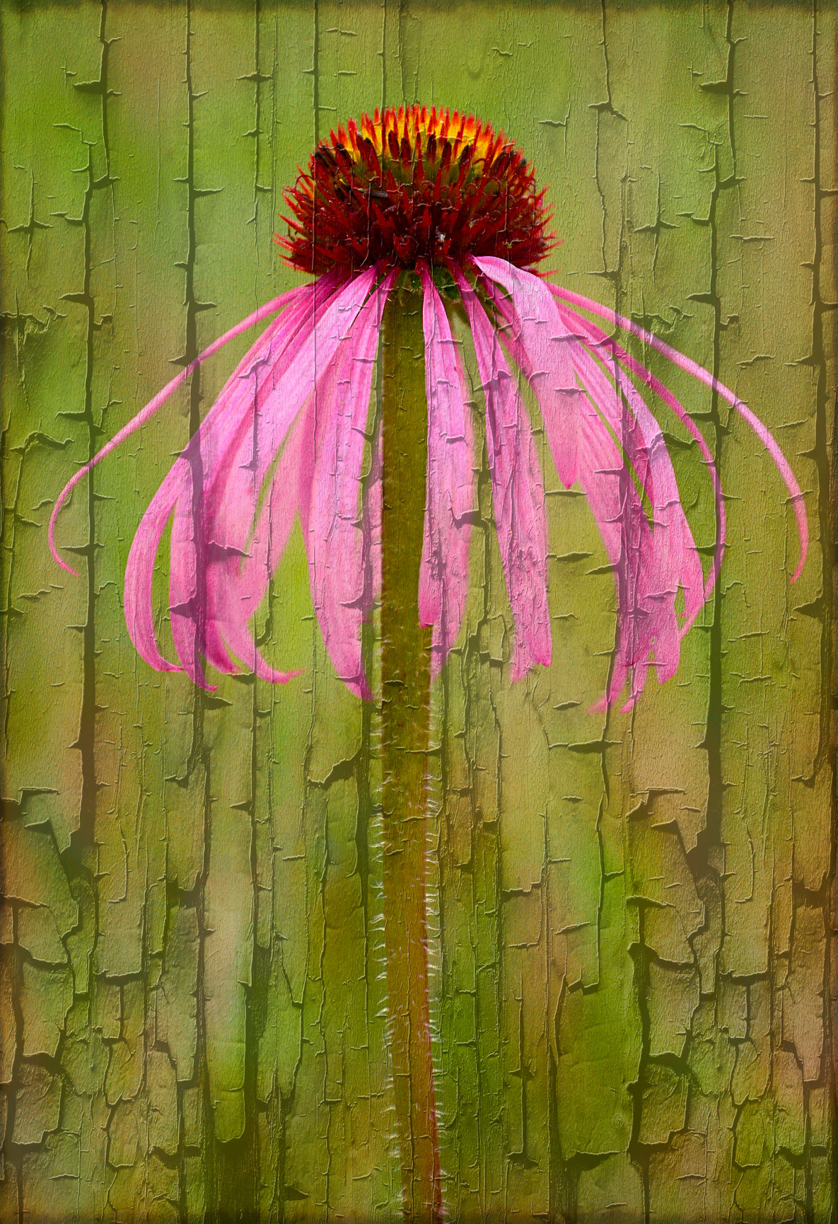 Before and After - Cracked Filter - Mike Moats - Award Winning Macro ...